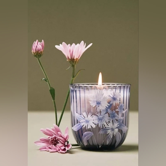 Anthropologie | Accents | Anthropologie September Birth Month Flower ...